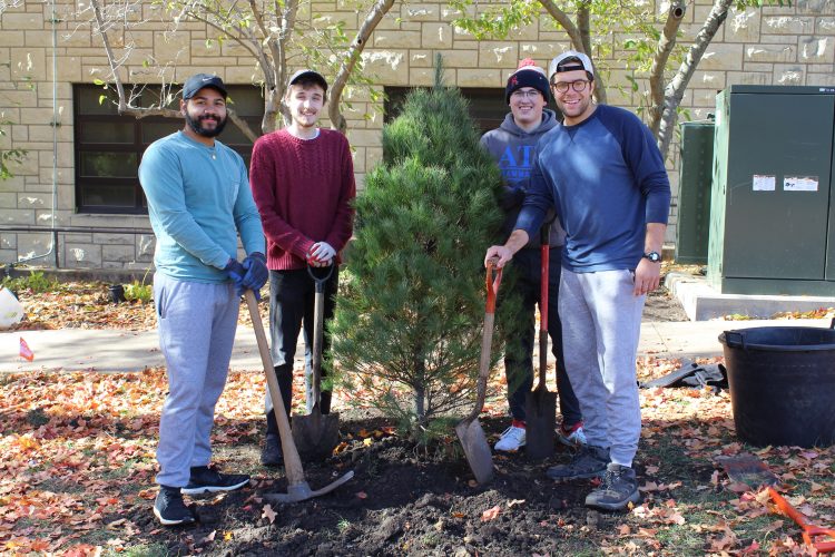 ‘Grubbing and digging’ to plant life across campus: Replant Mount Oread ...